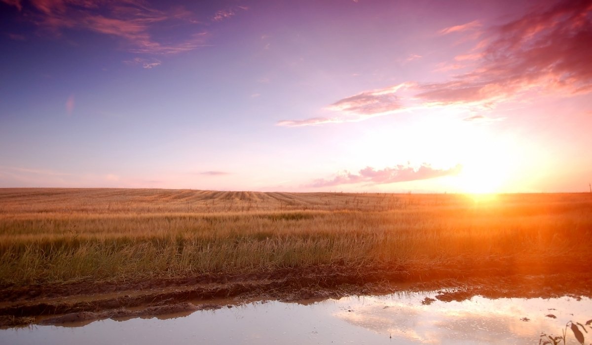 Misty Morning Glow Collection – A Delicate Quartz Collection by ...